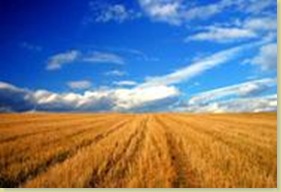 Romania la picioarele tale